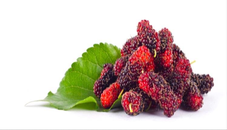 عدن تايم | فاكهه موسمية محببه لذا الكثيرين تعرف علئ اهم فوائدها